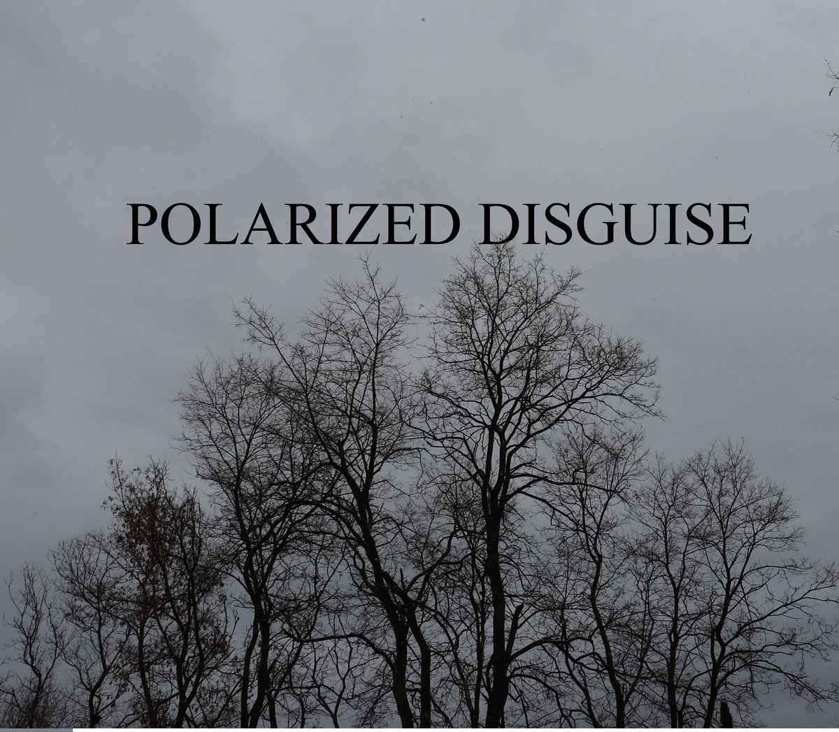 Leaving the Past | Polarized Disguise