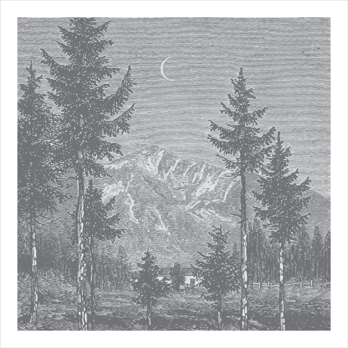 Estuarine (Wordless) | Helen Tookey & Sharron Kraus | woundedwolfpress