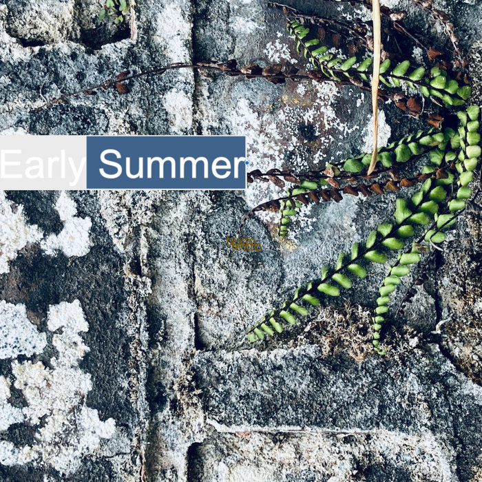 EARLY SUMMER | Wade Matthews