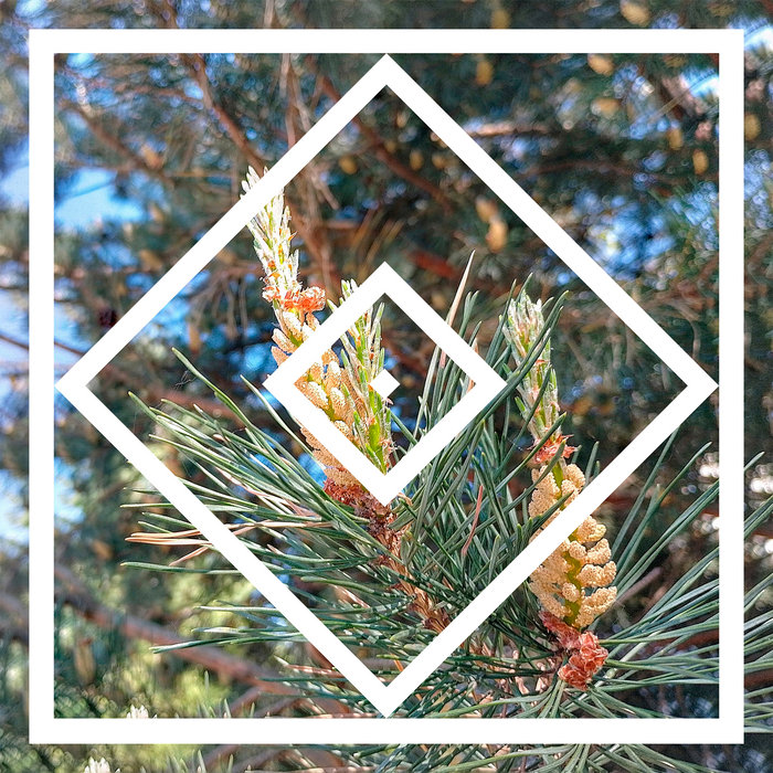 Ordovic | Qoel | Forest Scum Records