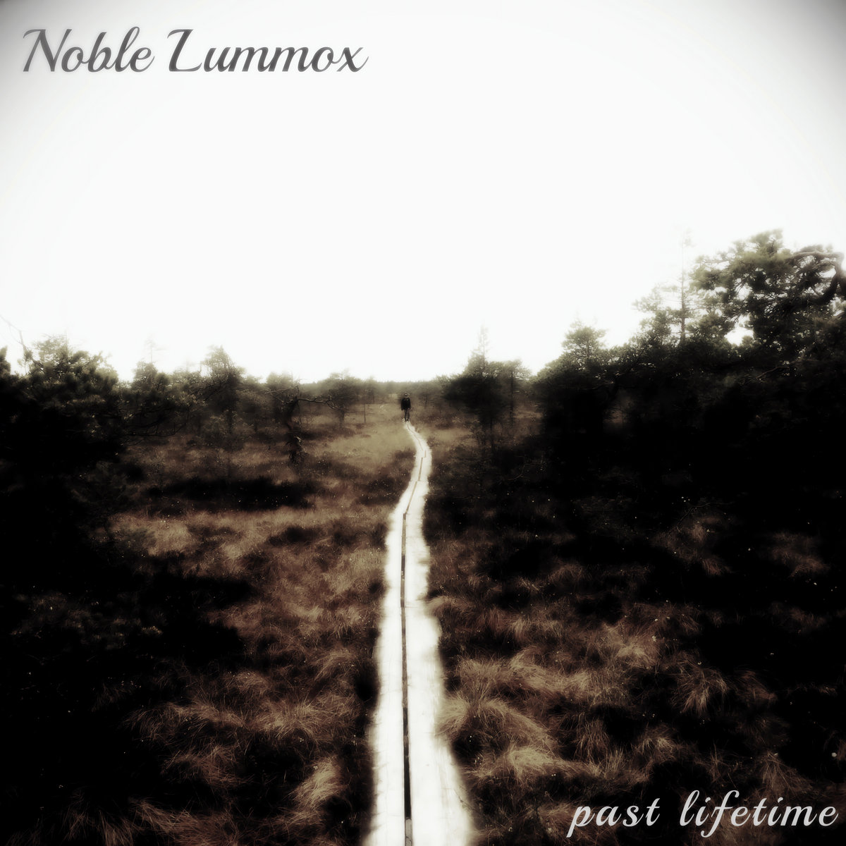 Past Lifetime | Noble Lummox