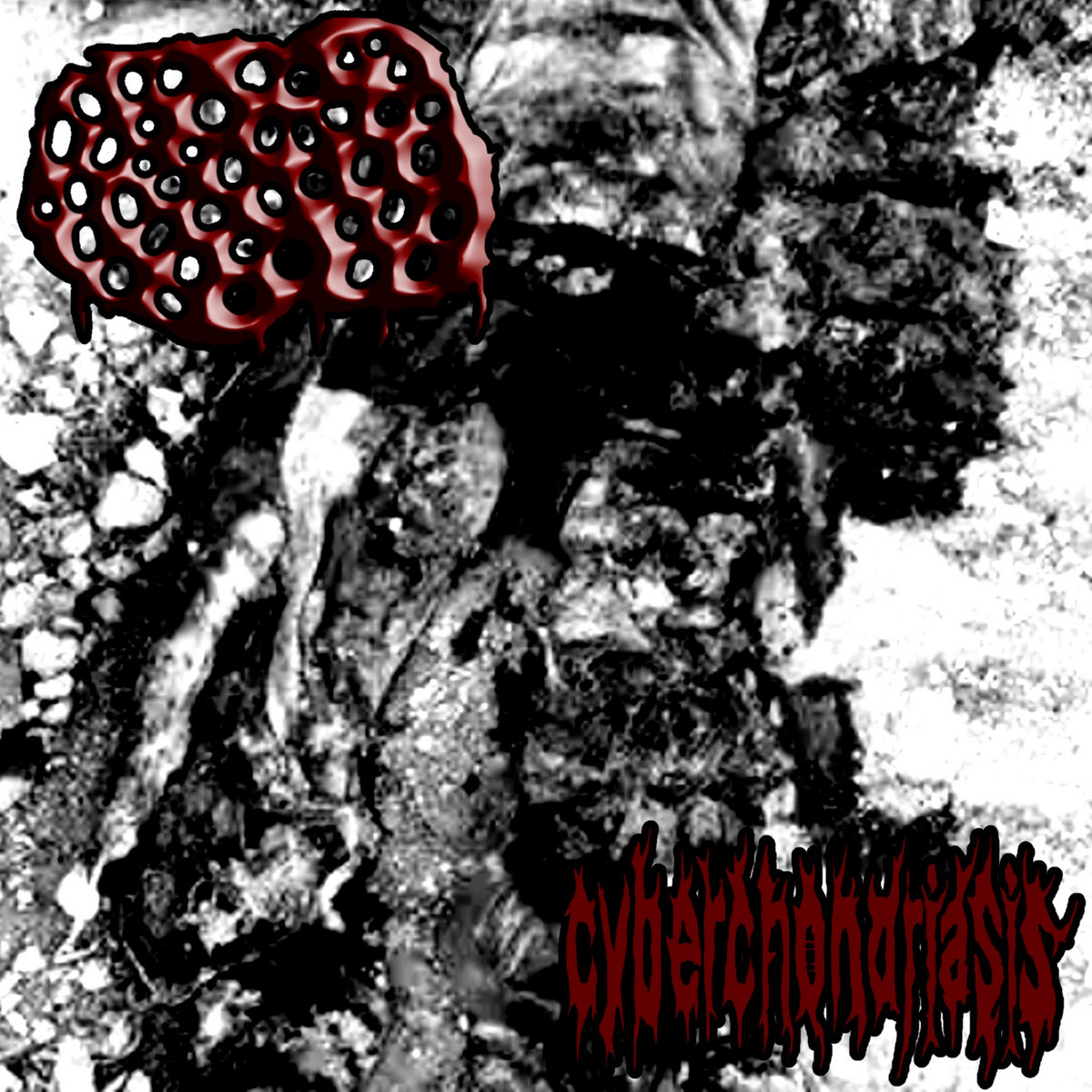 Split With Cyberchrondriasis | Putrid Vomit Bloody Chunks ...