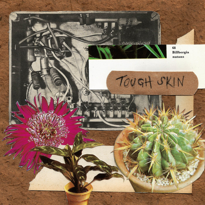 Tough Skin | The Standby Setting