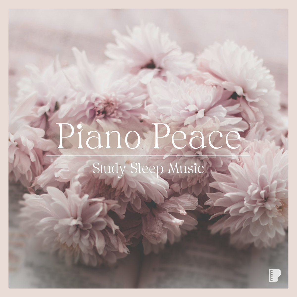 Study Sleep Music | Piano Peace