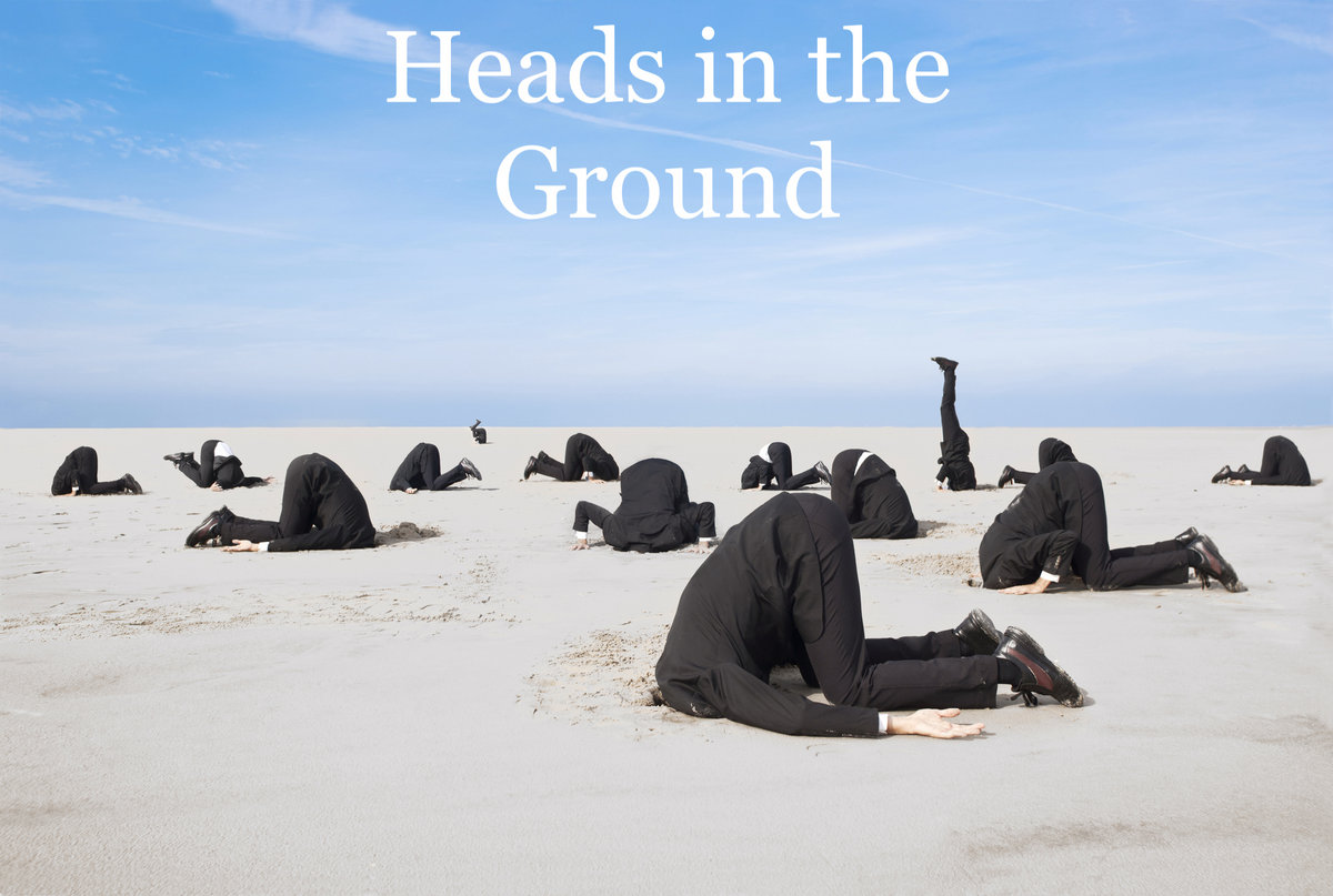 Heads in the Ground | Tim (Damion) Hardin