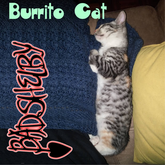 Burrito Cat Meme
