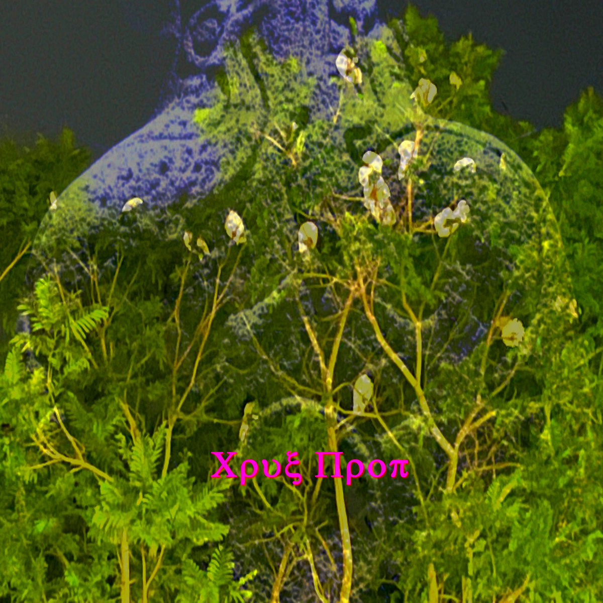 Crux Prop | Poppy Cross is Clement Teh and Alex Tseng | Alex Tseng