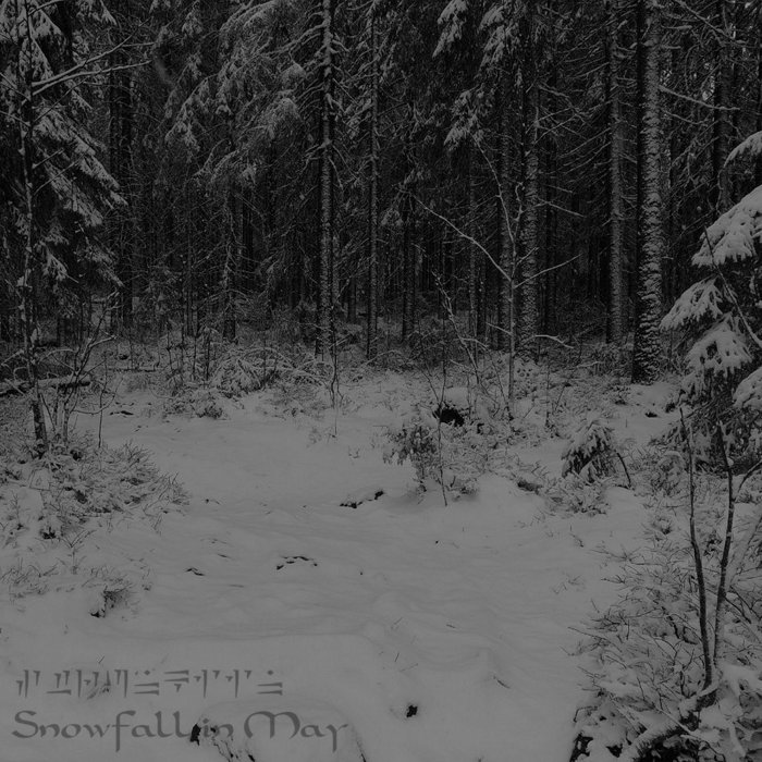 Snowfall in May (single) | Strunkiin