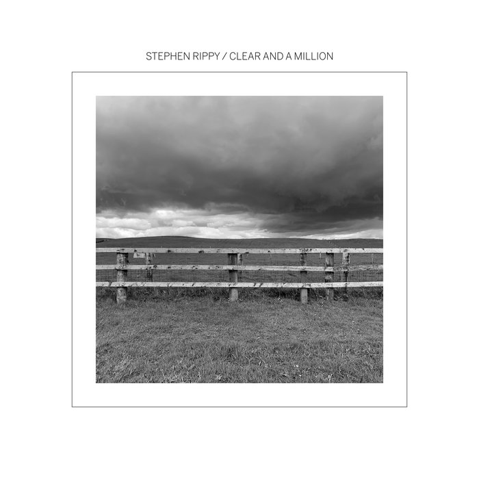 Clear and a Million | Stephen Rippy