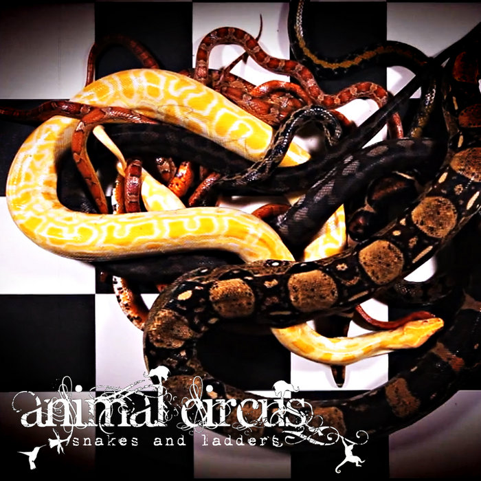 Snakes and Ladders EP | Animal Circus