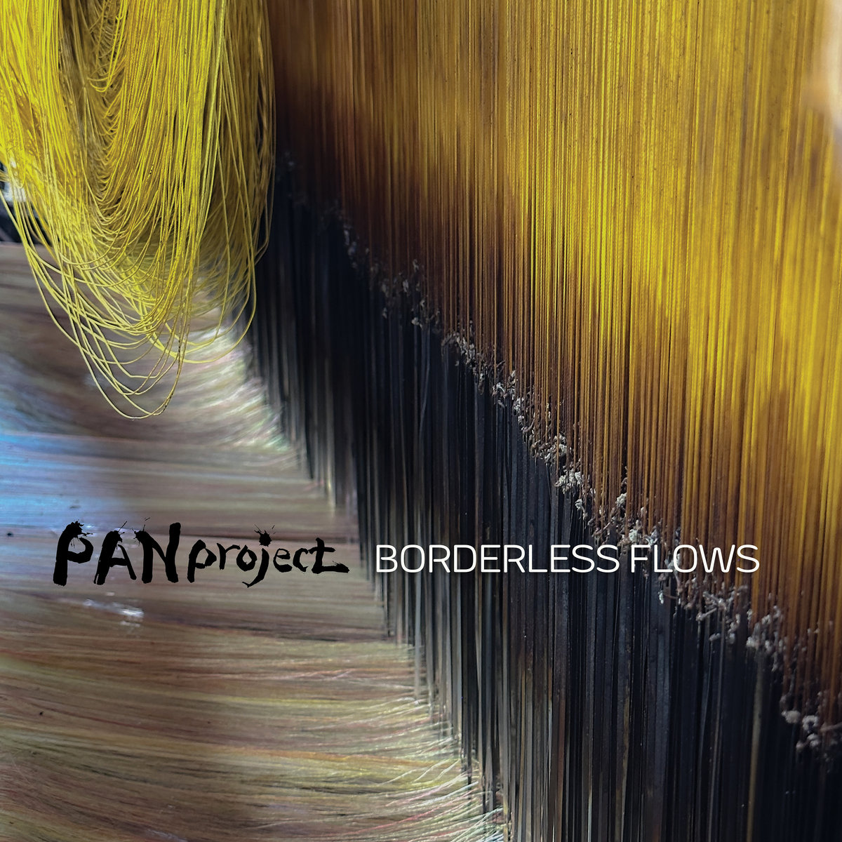 Borderless Flows | PAN Project