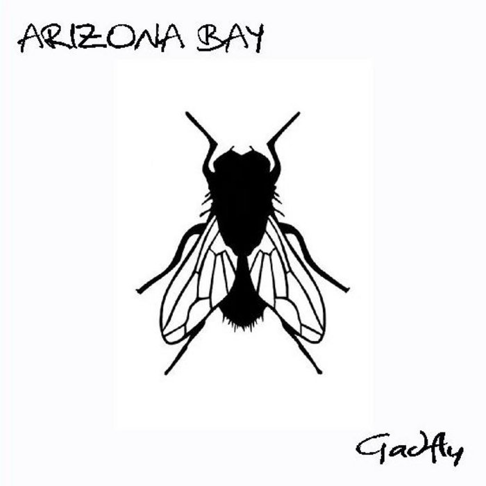 Gadfly | Arizona Bay