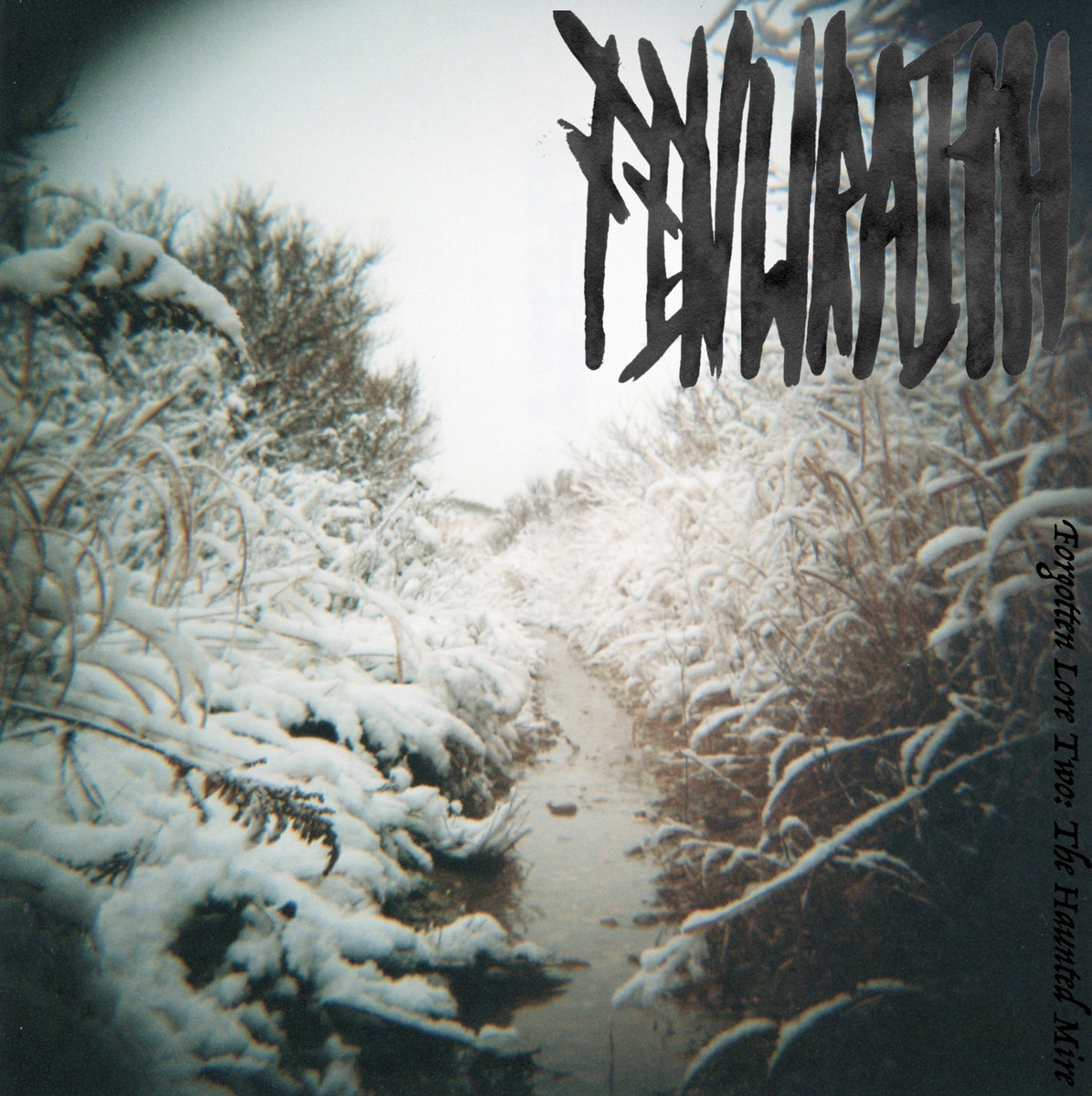 Forgotten Lore Two: The Haunted Mire | Fen Wraith