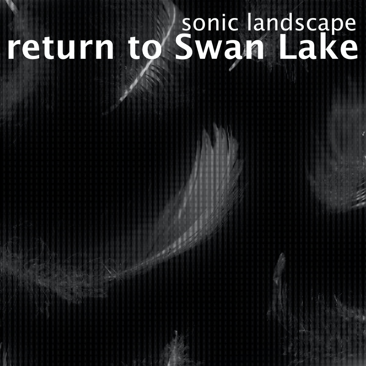 return to Swan Lake | Sonic Landscape
