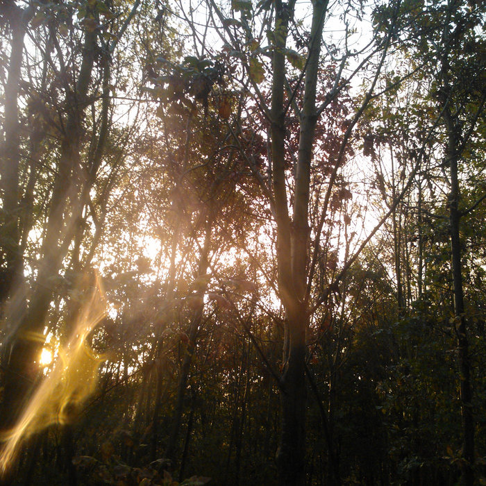 Numbers Station | Testostone