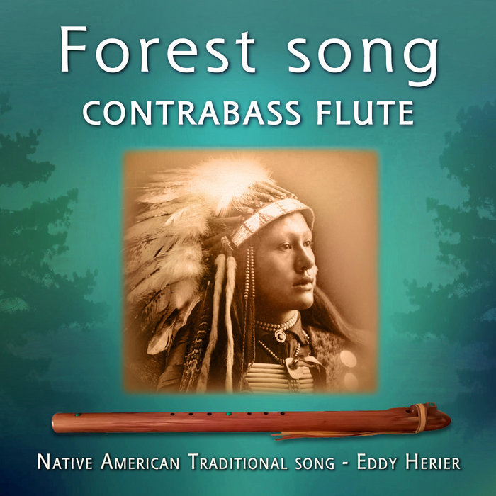 Forest song | Eddy Herier