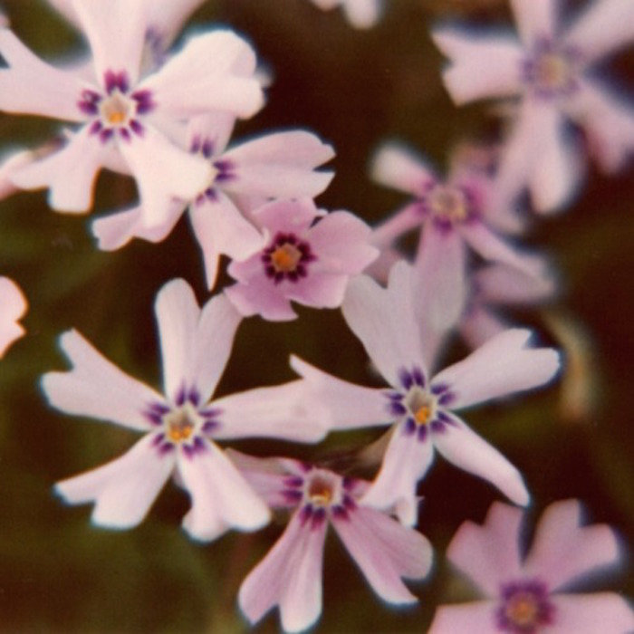 2014 | Samuel Nobles