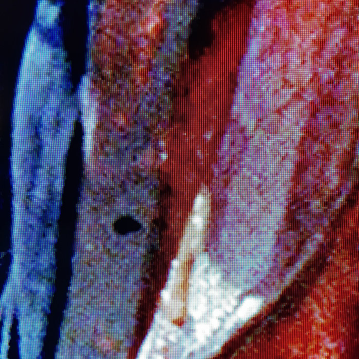 Demo 2021 | APPORTATION