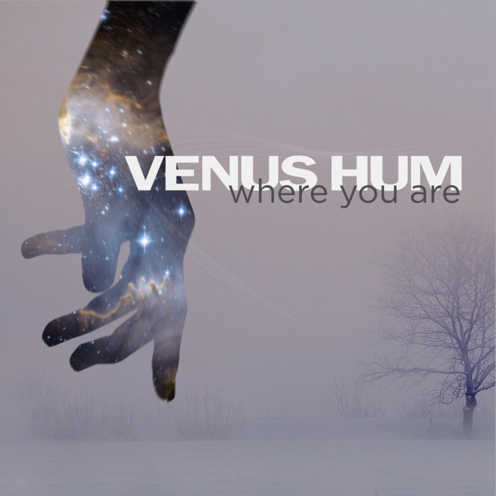Where You Are | Venus Hum