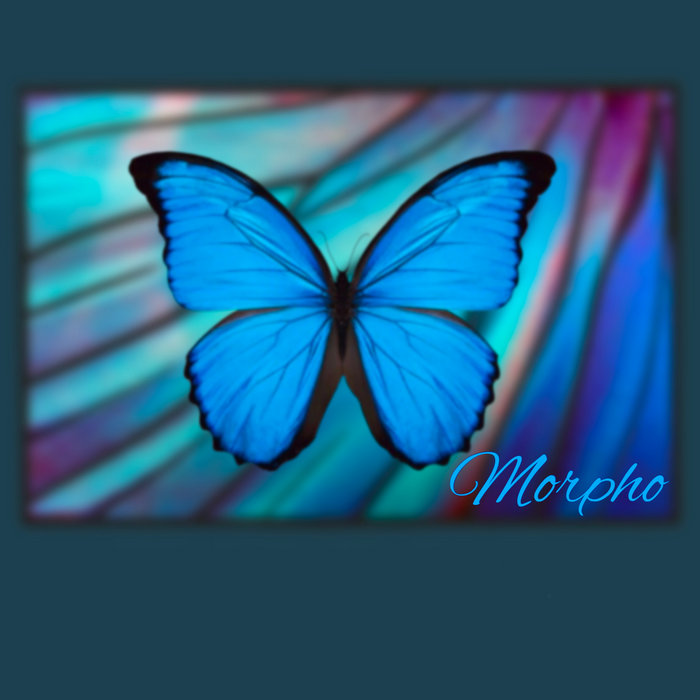 Morpho | Code:Echo