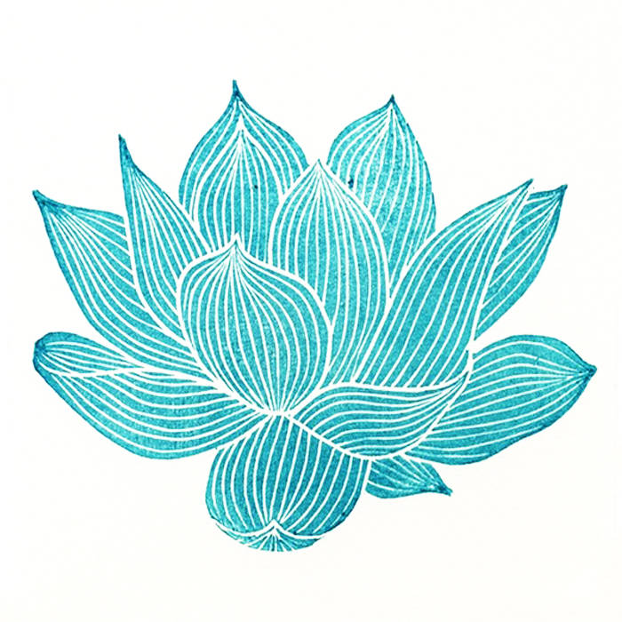 Lotus Flower Drawing Tumblr