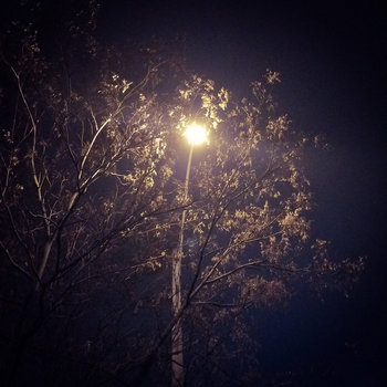 Music | anthéne
