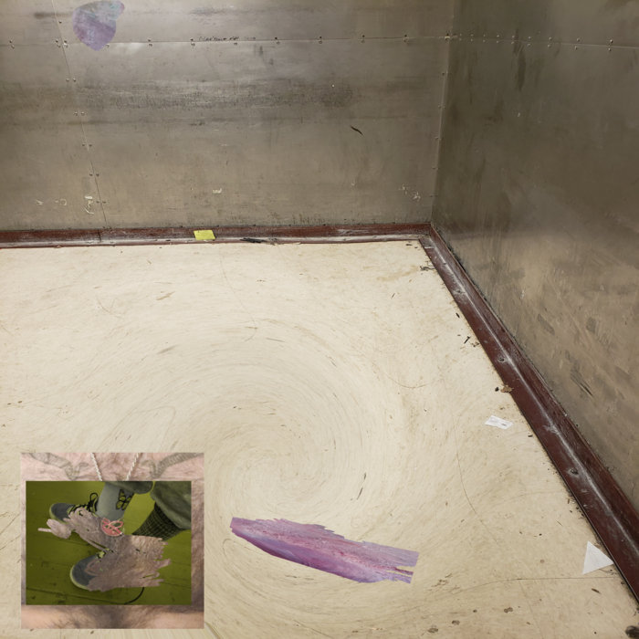 Drury Grove / Gracelessness | Dying Hellebore