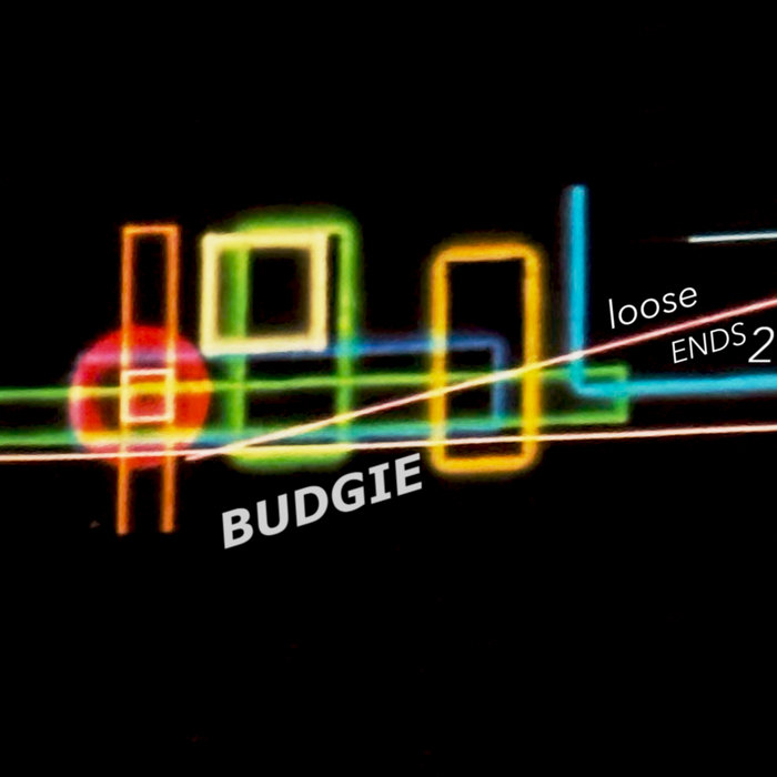 loose ends 2 | Budgie
