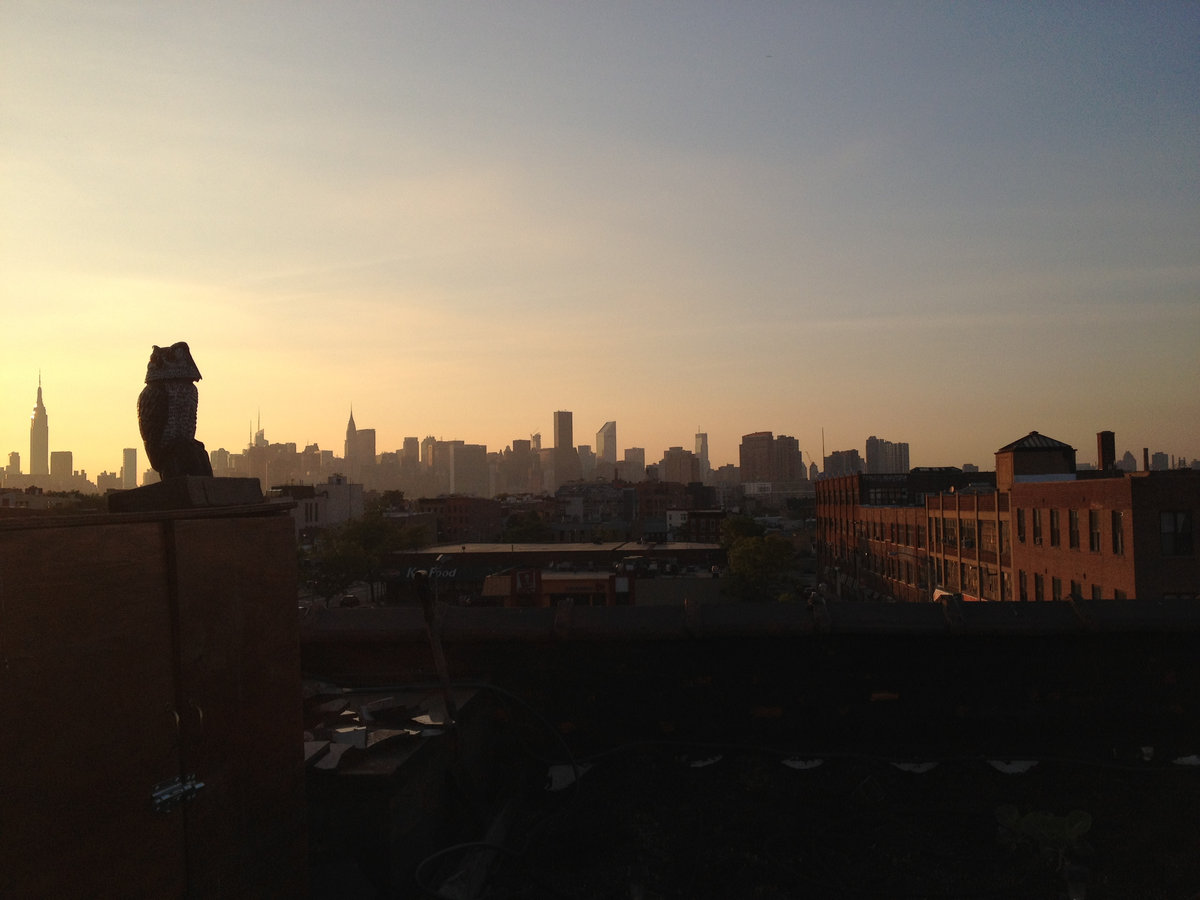 Rugby Road Recordings | bob singley