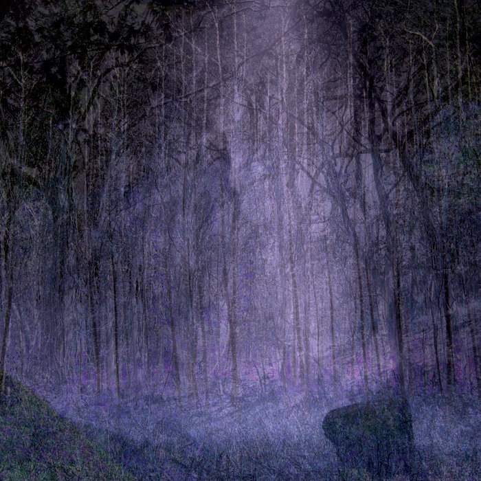 Illuminated Beasts | Daniel Panasenko