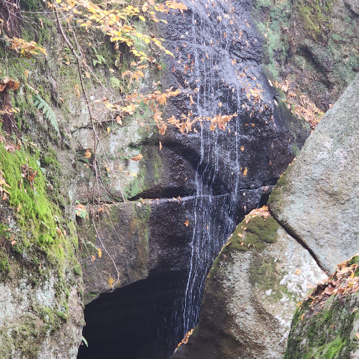 LIVE @ THE CAVE | Giant Enemy Cancer Cult