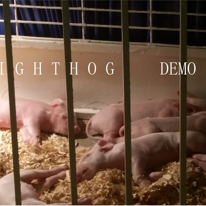 NIGHTHOG Demo II | NIGHTHOG