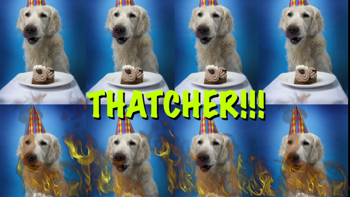 HAPPY BIRTHDAY THATCHER! | Epic Happy Birthdays