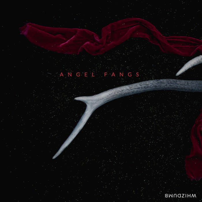 Angel Fangs | WhizDumb
