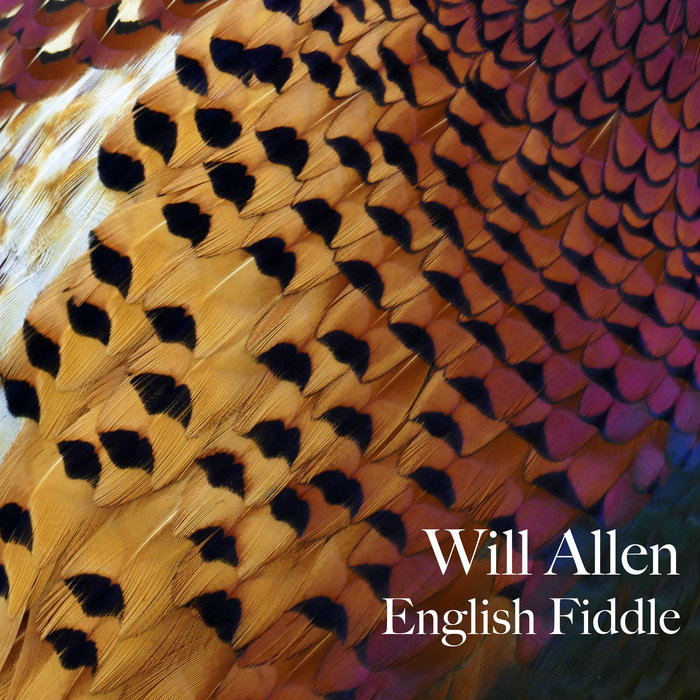 'English Fiddle' Download | Will Allen