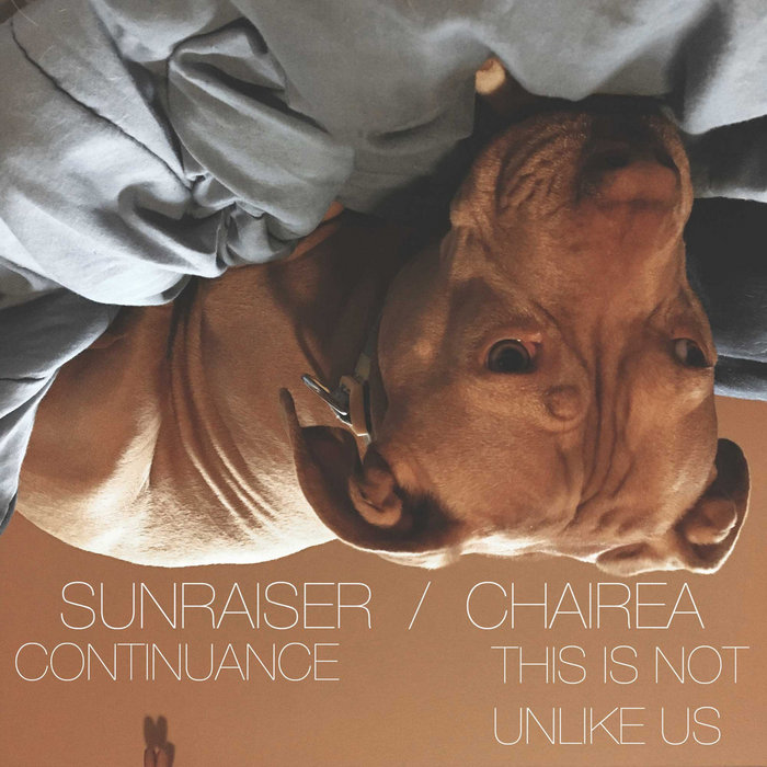 Sunraiser/Chairea Split | Sunraiser/Chairea | rumble gut records