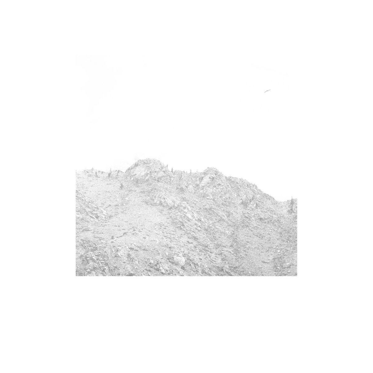 She Was a Dove | Fortune Child