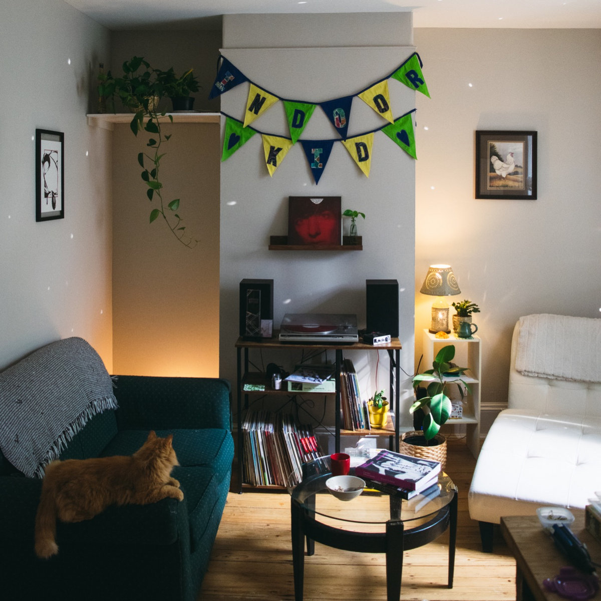 Thanks, Courtney | Indoor Kid
