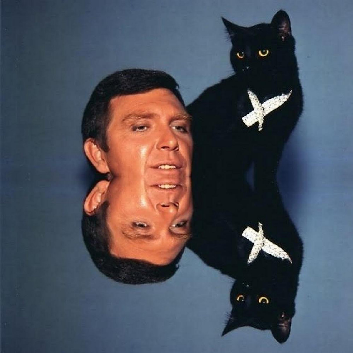 Spocktopus | Spocktopus