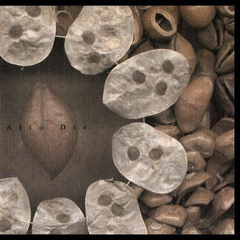 Music | ALIO DIE