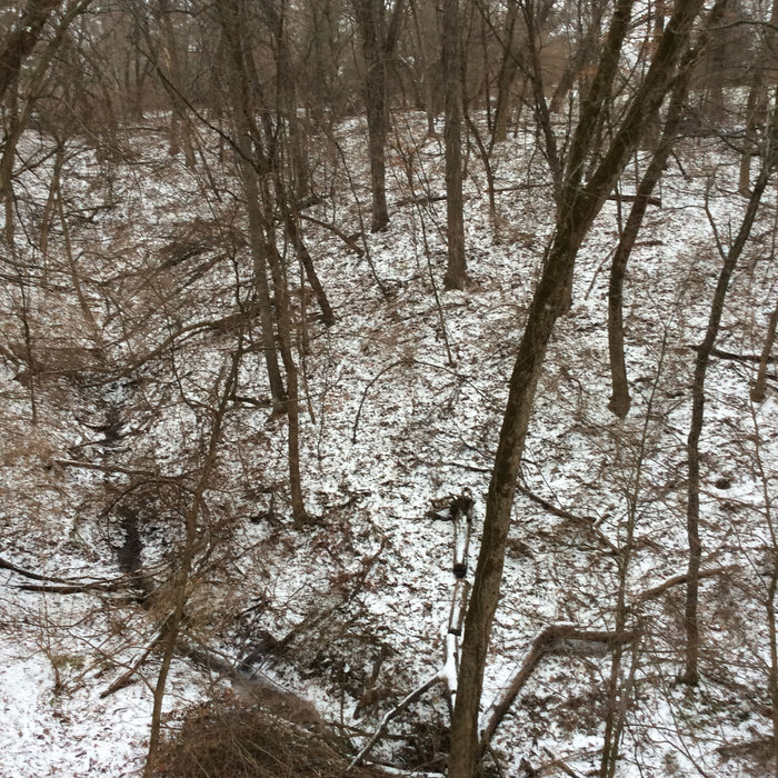 Coils | Mark Rushton