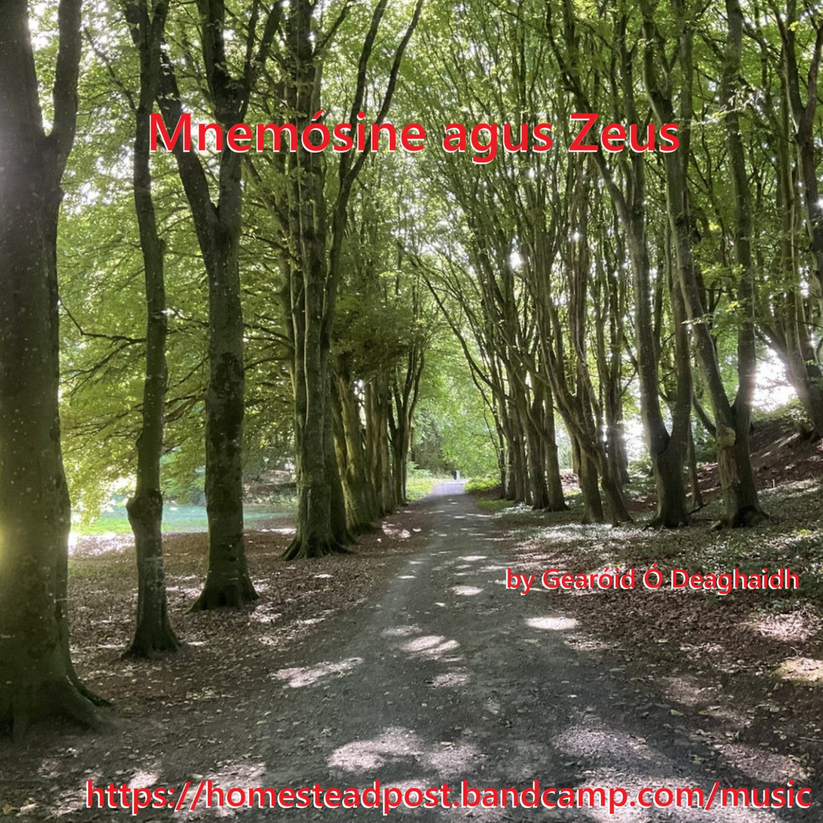 Euterpe | Gearóid Ó Deaghaidh