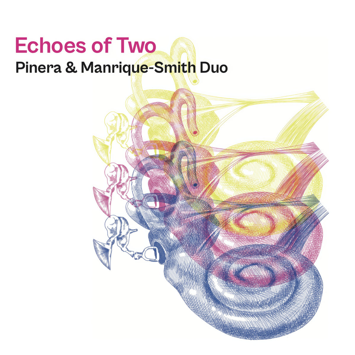 Echoes of Two | Pinera & Manrique-Smith Duo | Diego Pinera
