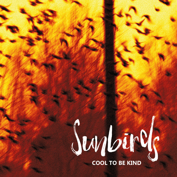 Cool To Be Kind | Sunbirds