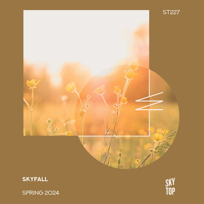 SkyFall Spring 2024 | Various Artists | Intricate Records