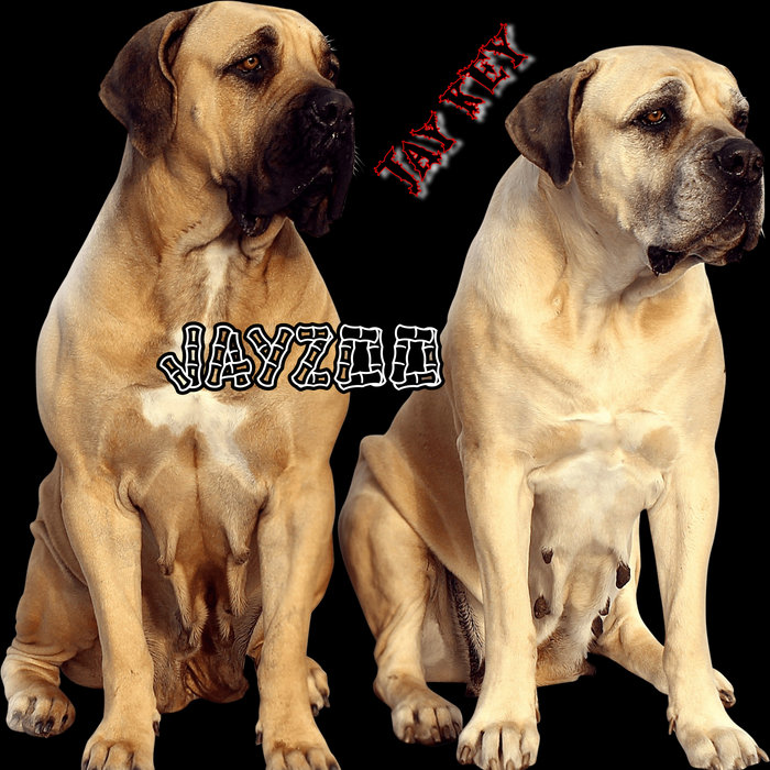 Jayzoo | Jay Key | Deluxe M BoxX