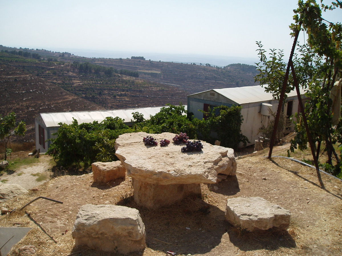 Live at Gavna | Chevraya