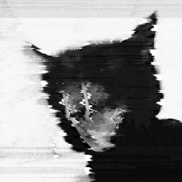 Pure Disgust | Popper Burns