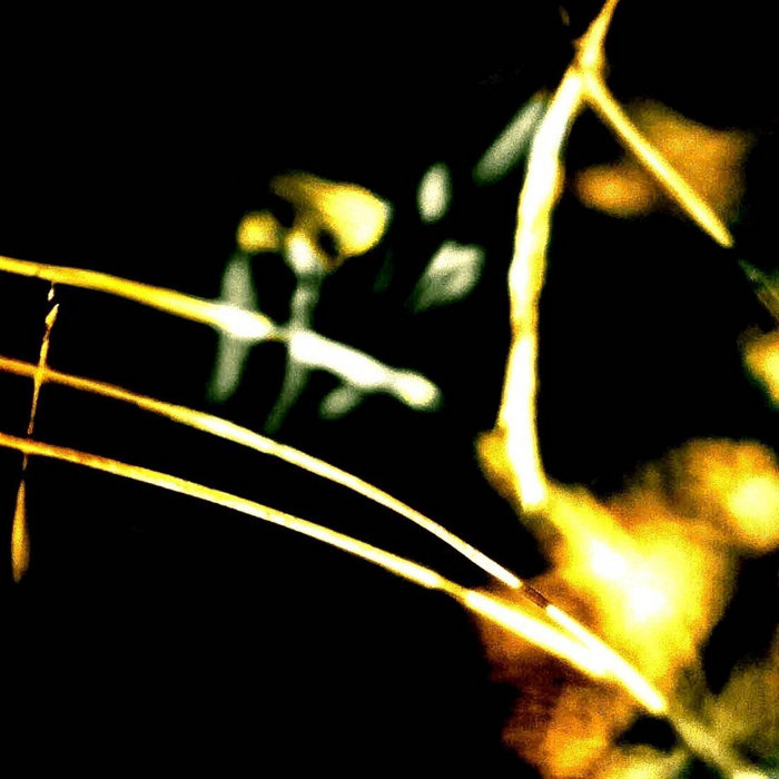 Parallel Room | Space (GR) | Industrial Complexx