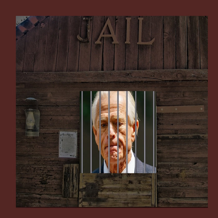 Navarro's in the Jailhouse Now: The Anarchy Princess Chronicles ...